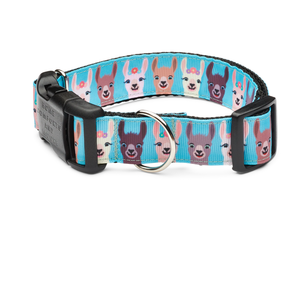 Animal Collars and Leashes – Home Comforts and Moore
