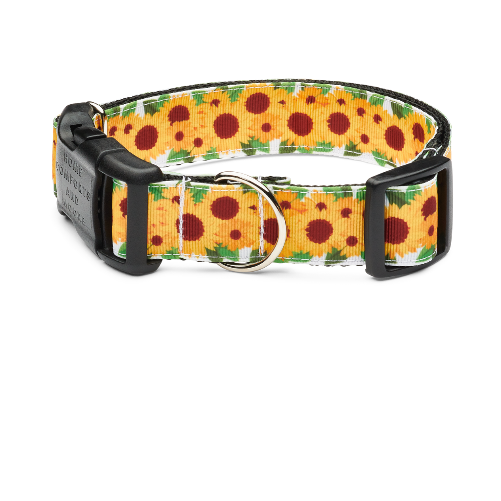 Flower Collars and Leashes – Home Comforts and Moore
