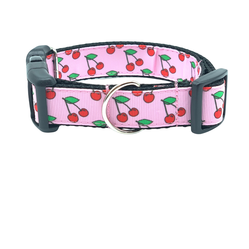 Food Collars and Leashes – Home Comforts and Moore